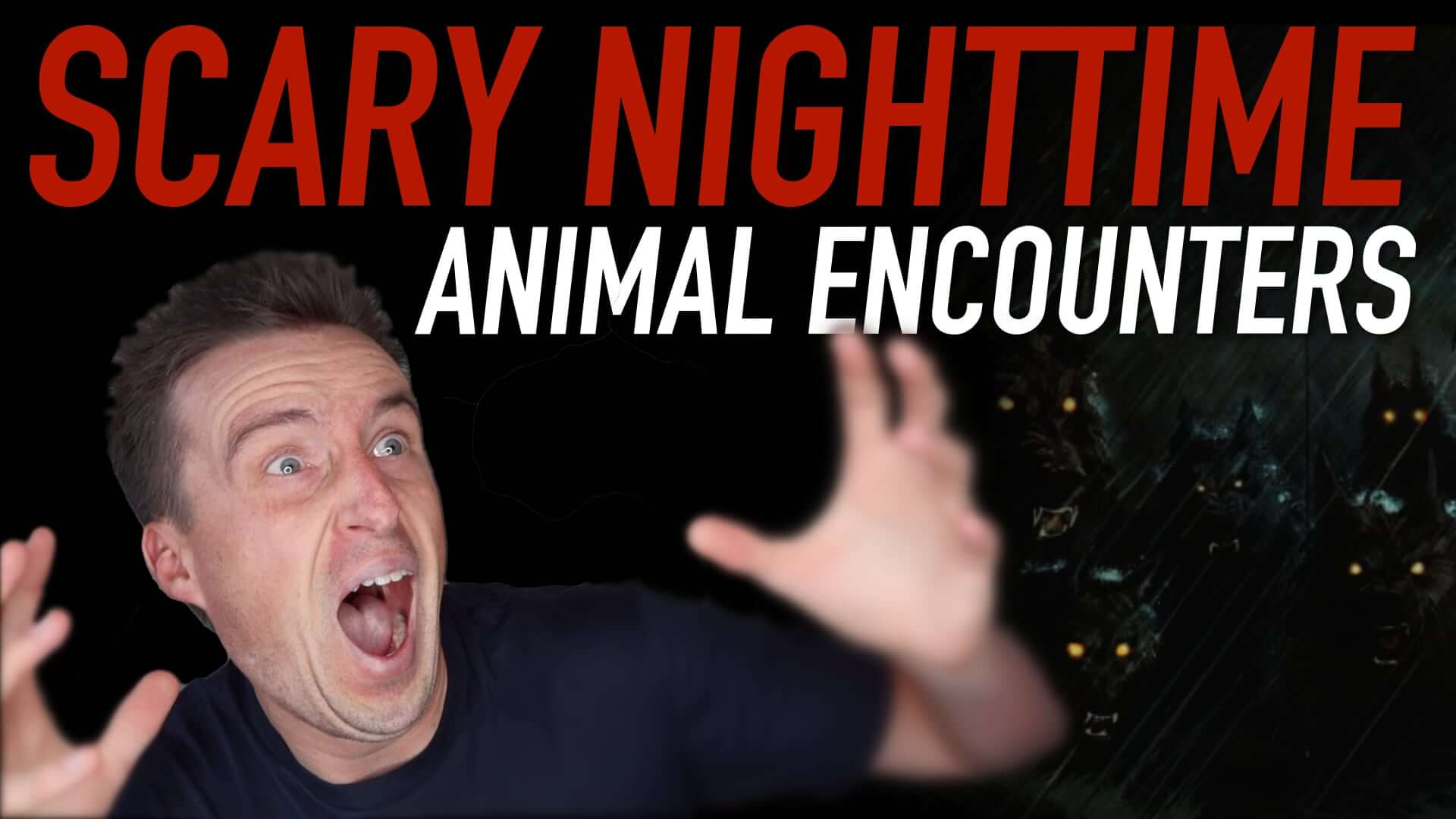 Scary Nighttime Animal Encounters – Bicycle Touring Pro (VIDEO/PODCAST)
